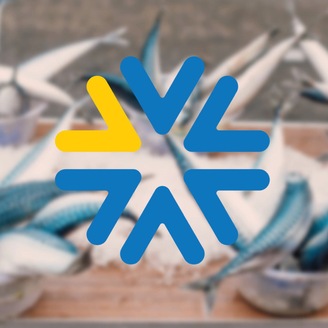 SALT FLAKE ICE – ICETEC New Zealand